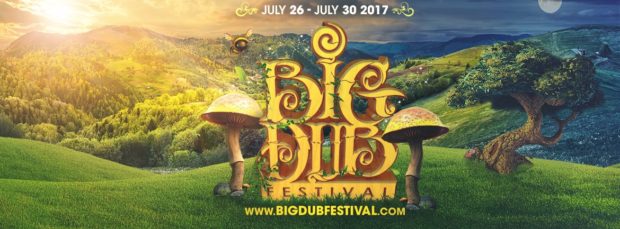 Big Dub Festival Lineup Proves Yet Again Why It's One Of The Best ...